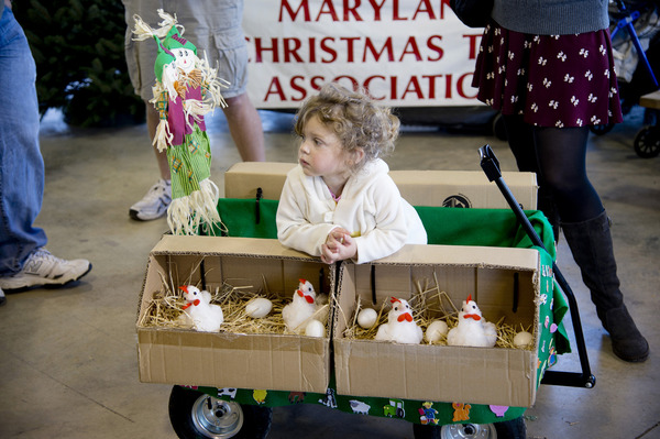 Wagon Decorating Ideas Parade | Shelly Lighting