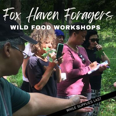 Fox Haven Foragers: Year-Round Wild Food Workshops | Classes, workshops ...
