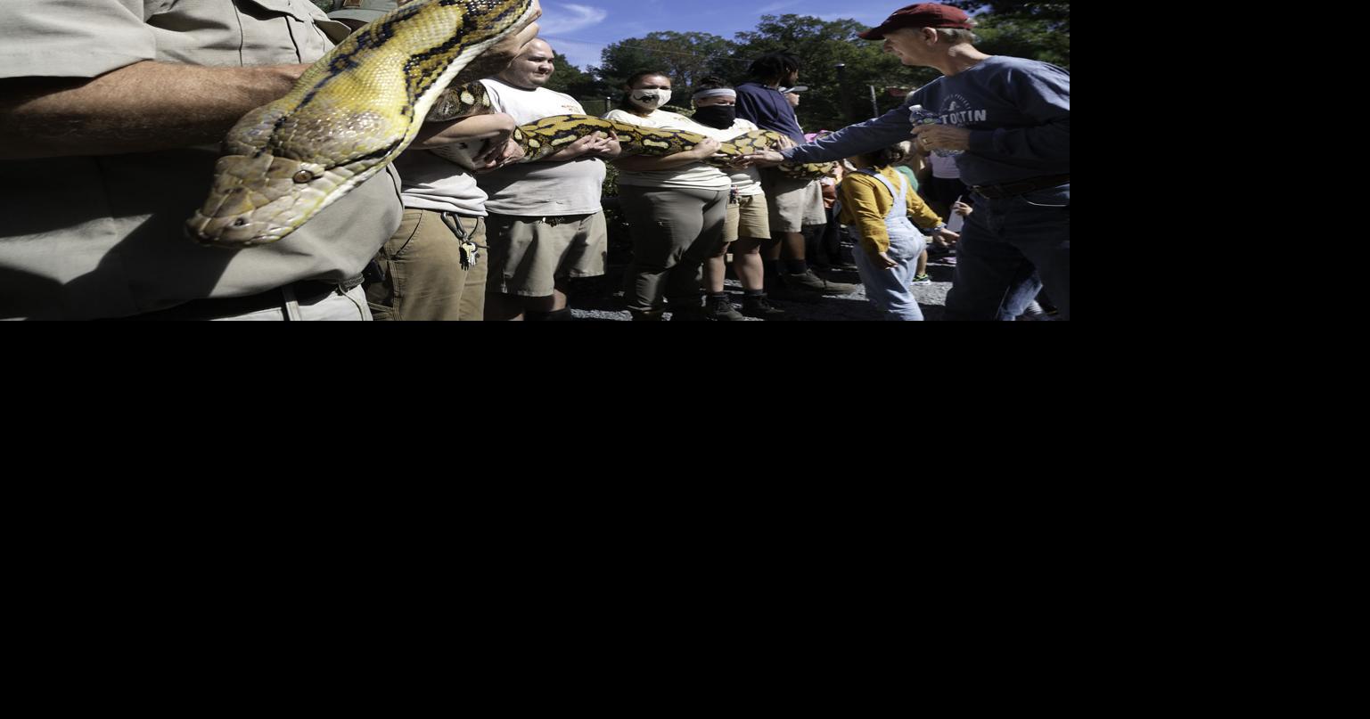 Catoctin Wildlife shows off new python | Pets And Animals ...