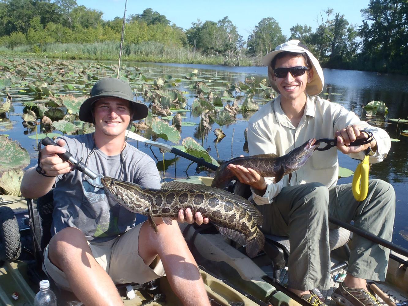 Today's Sportsman: Casting for snakeheads on the Eastern Shore | Travel ...