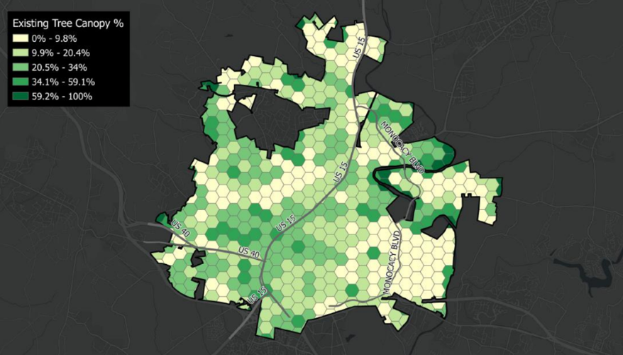 City's tree canopy coverage stable from 2014 to 2021; goal is 40% of land by 2030 | Environment ...