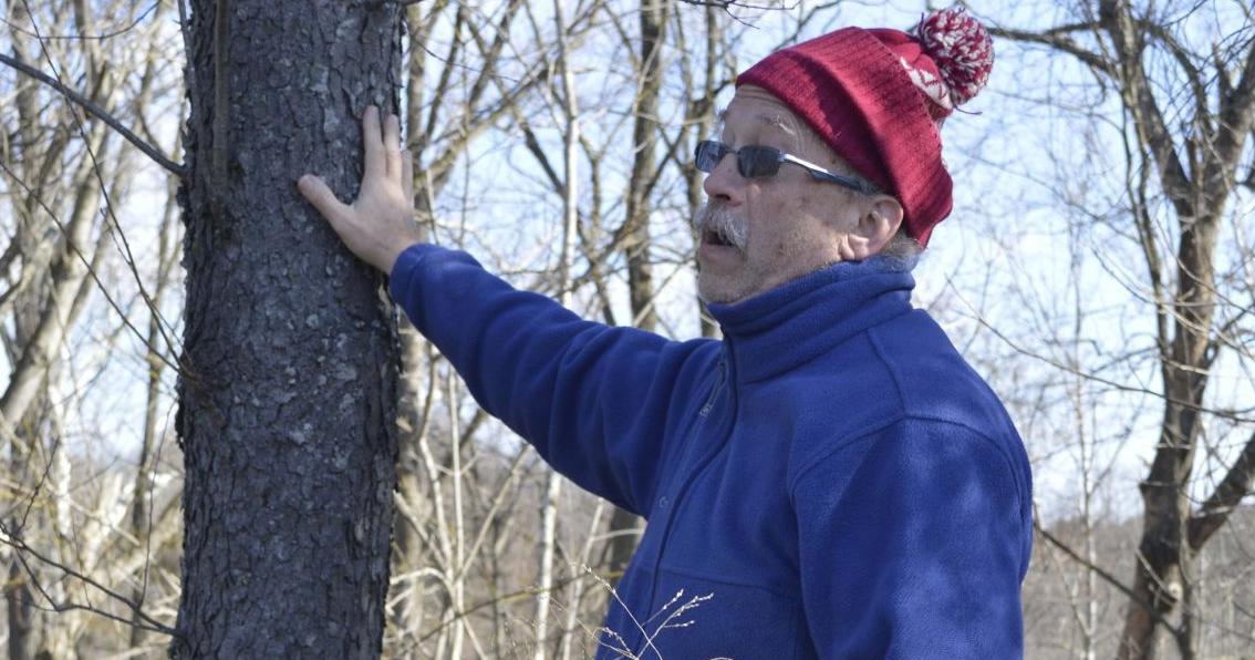 Seeing the forest and the trees: Identify trees by the bark ...