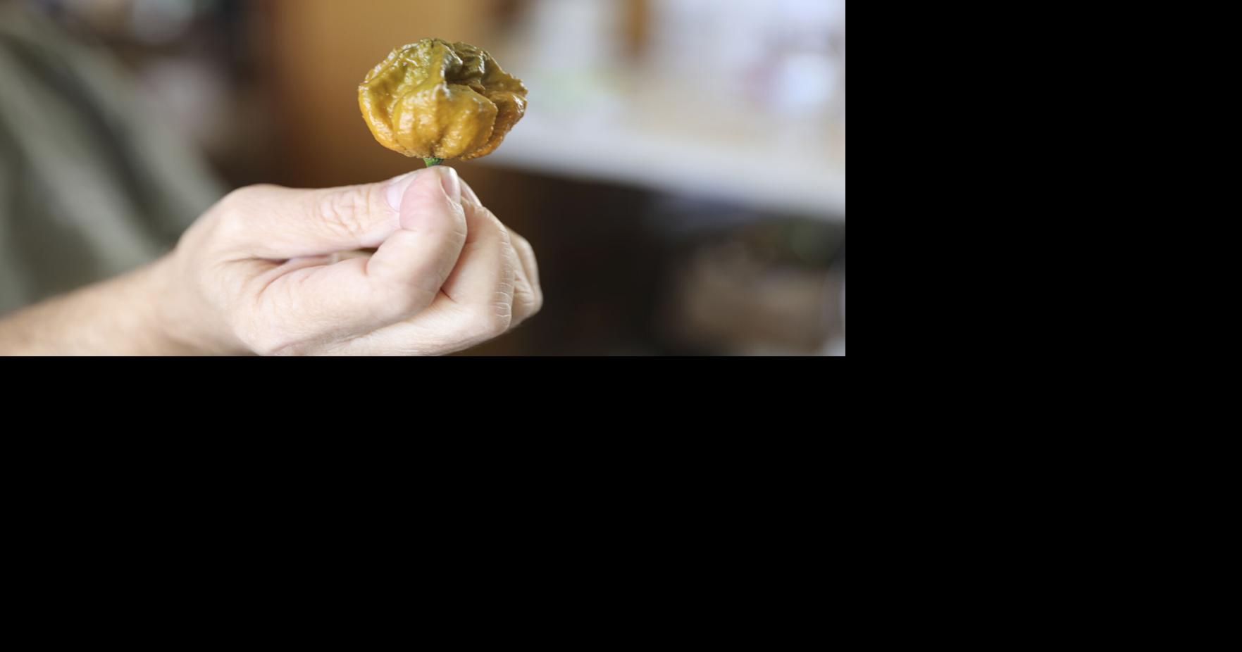 Pepper X marks the spot as South Carolina pepper expert scorches his ...