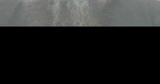 Bail denied for Pagan president; man called danger to the community ...