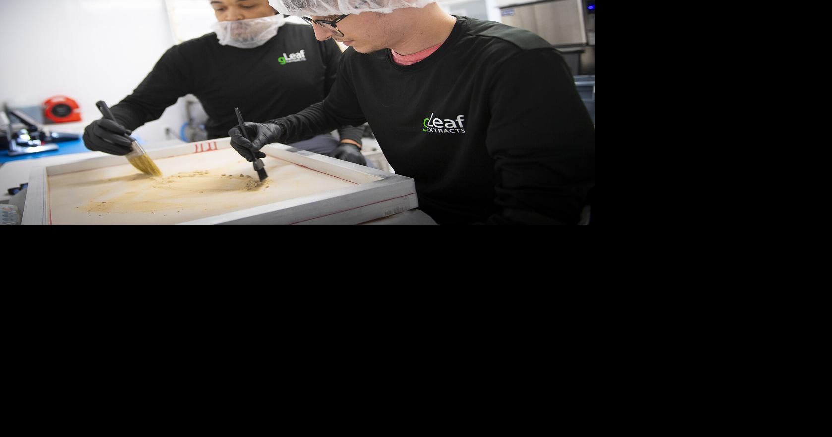 Money in the pot: Local cannabis businesses gear up for anticipated ...