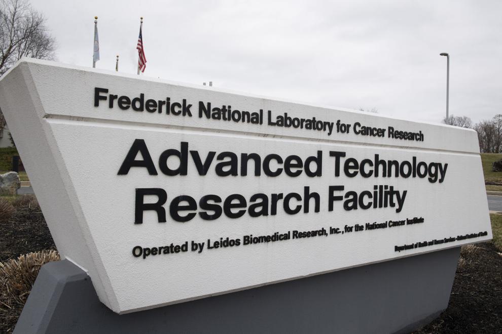 Frederick research lab overseeing new office for National Cancer ...