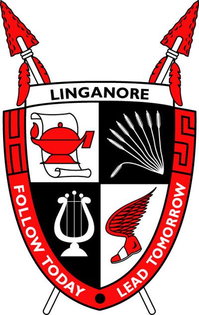 Trunnell leads Linganore softball to 3A state final with win over ...