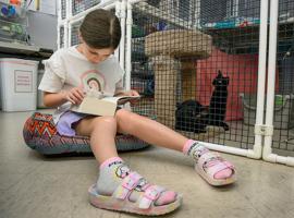 Kids read to shelter cats in Book Buddies program | Pets And Animals ...