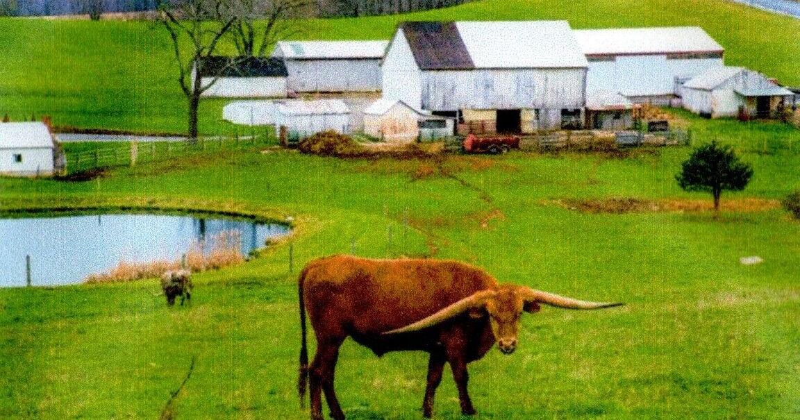 Photographs and the History of Farms in the Myersville and Wolfsville ...