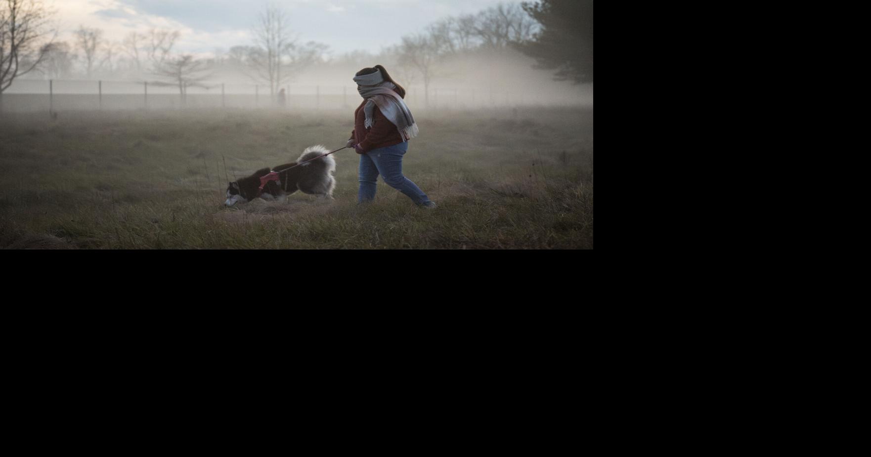 A hazy day | Pets And Animals | fredericknewspost.com