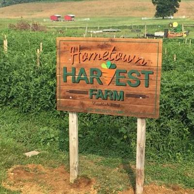 Extensions Line: Local harvest delivered to your door | Food ...