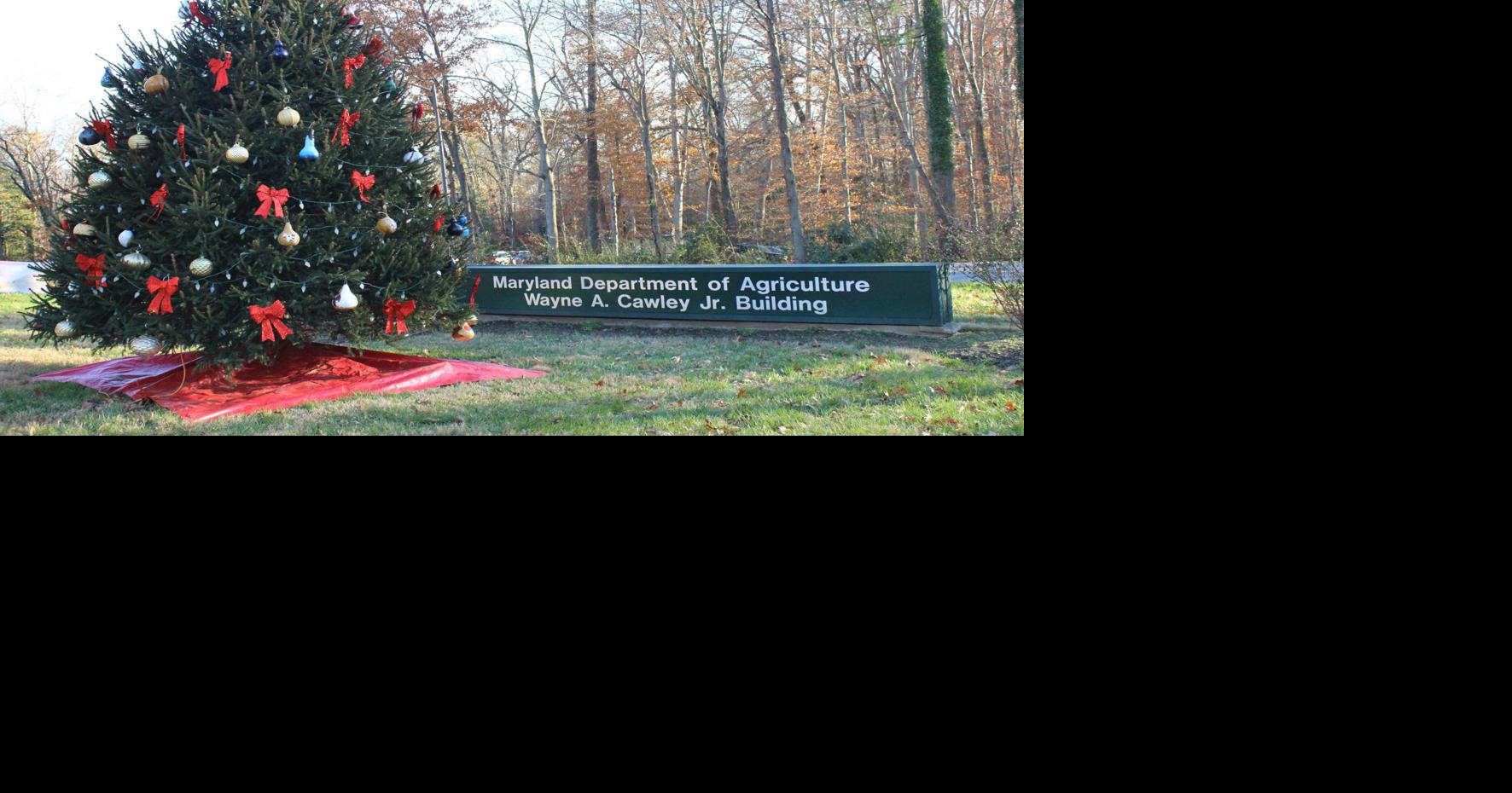 Farm near Walkersville donates Christmas tree to state display ...