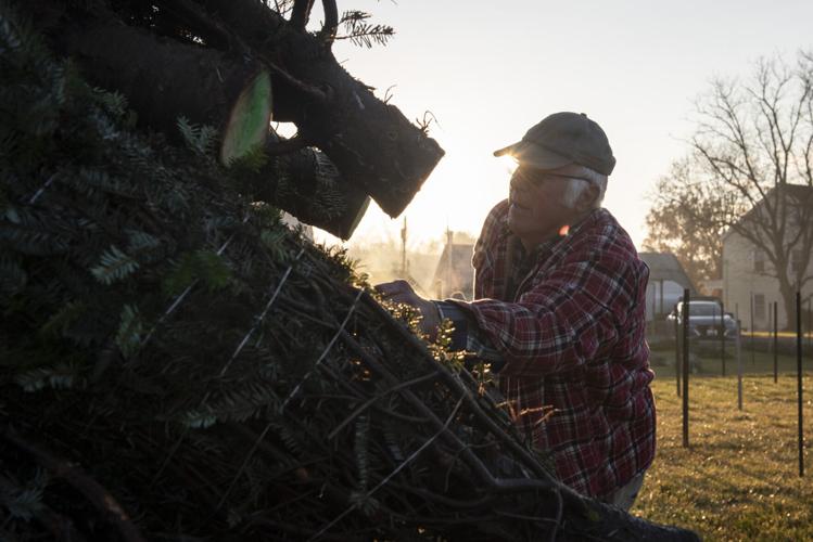 Festive Farms: Three businesses come alive with Christmas spirit | Arts ...