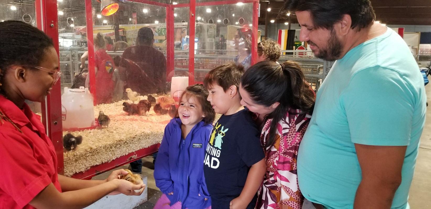 Maryland State Fair in Timonium opens this week with live entertainment ...