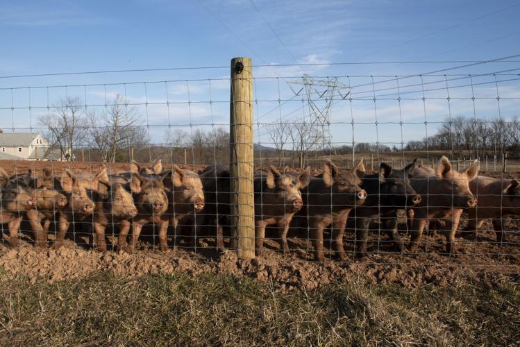 Power Struggle: MPRP makes local farmers worried about their safety ...
