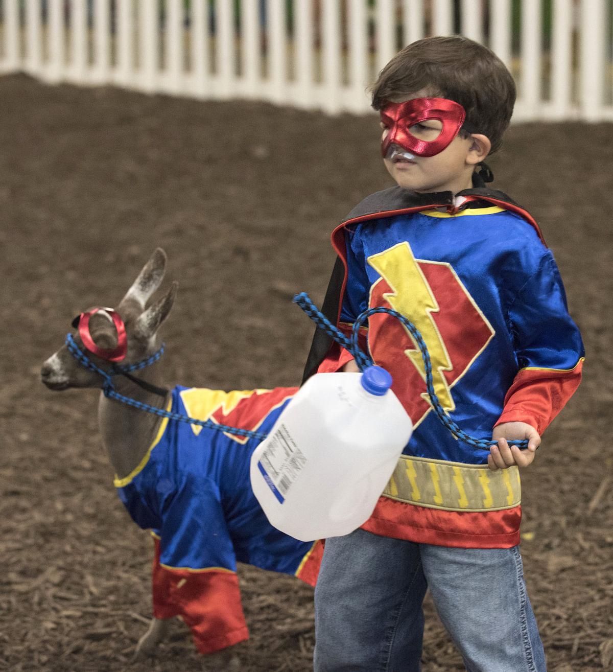 Goats and robbers steal the show at fair's Pretty Goat contest | Great ...