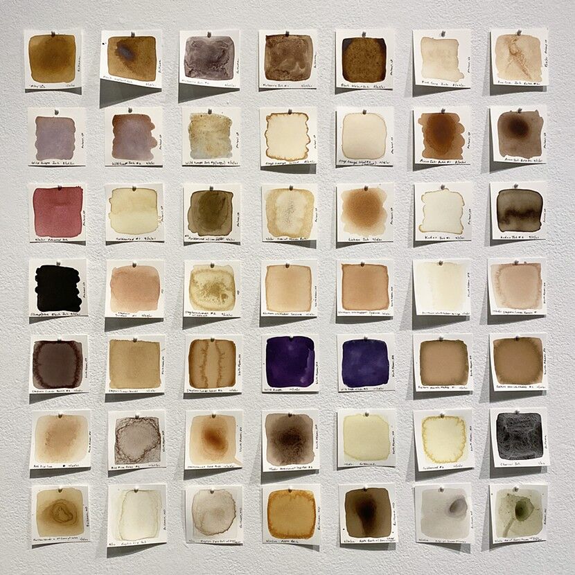 Botanical Ink Making with Andrea Sherrill Evans | Classes, workshops ...