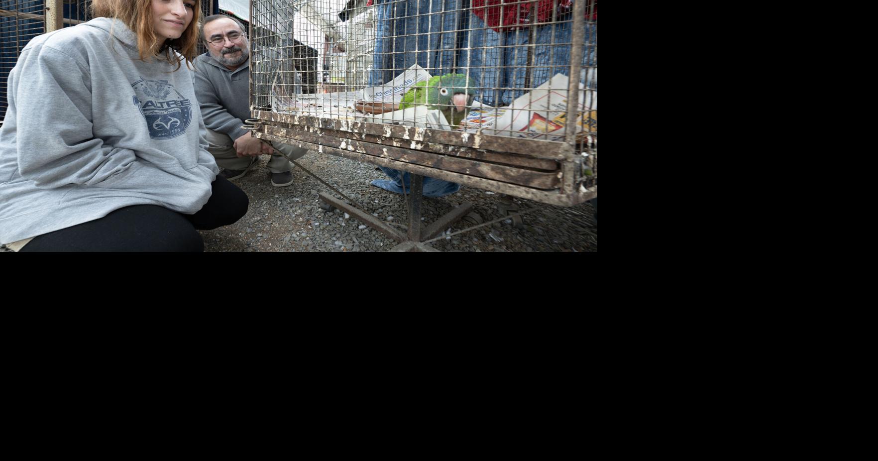 Farm visitors | Special | fredericknewspost.com