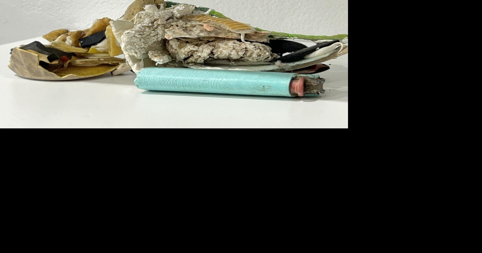 ‘The Spoon: 50 Works by Jim Condron’ at Hood College | Arts ...