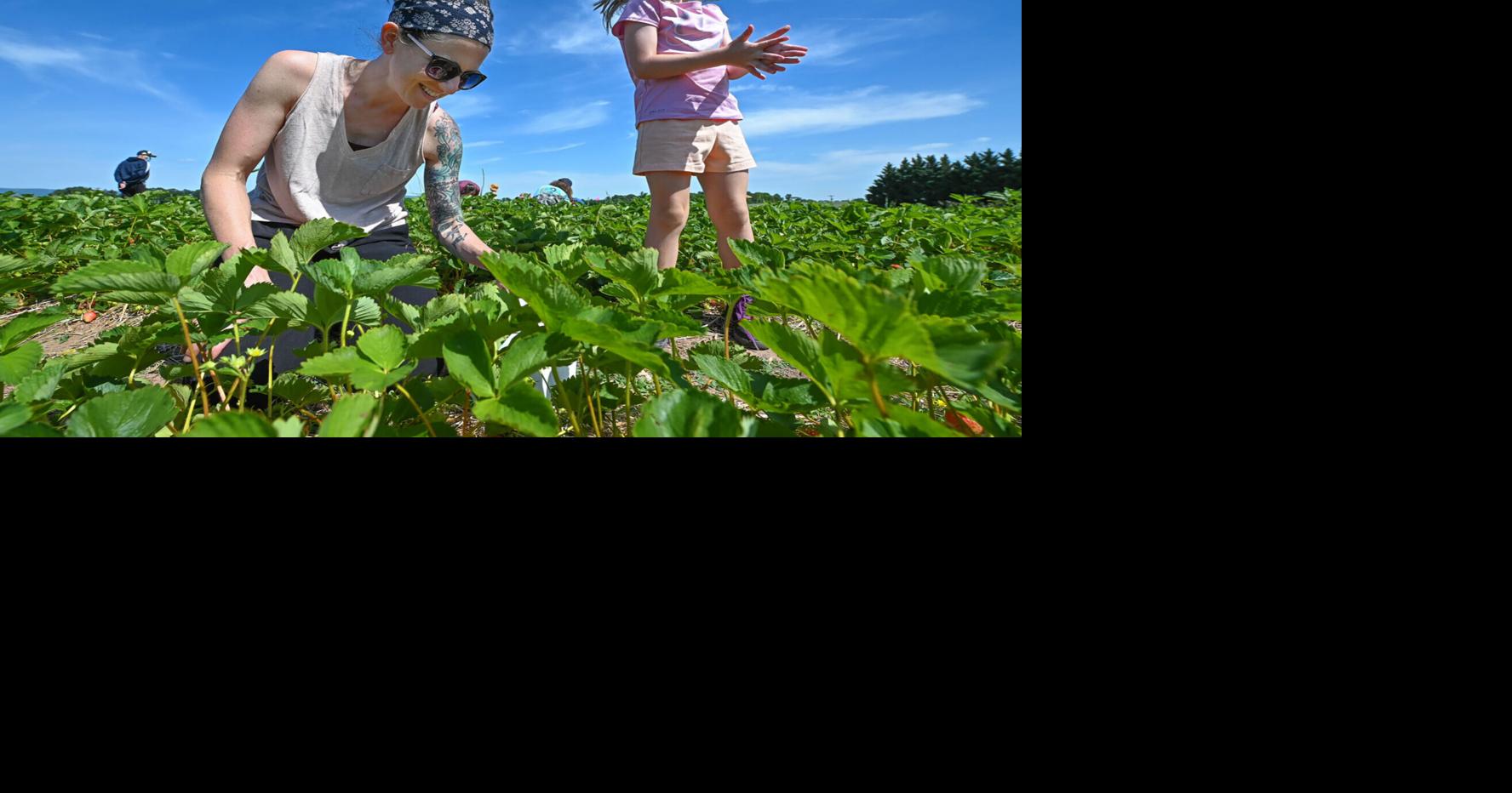 Children learn about farming, healthy eating through new program ...