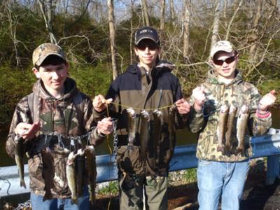 Stocking trout, for catching and eating | Travel And Outdoors ...