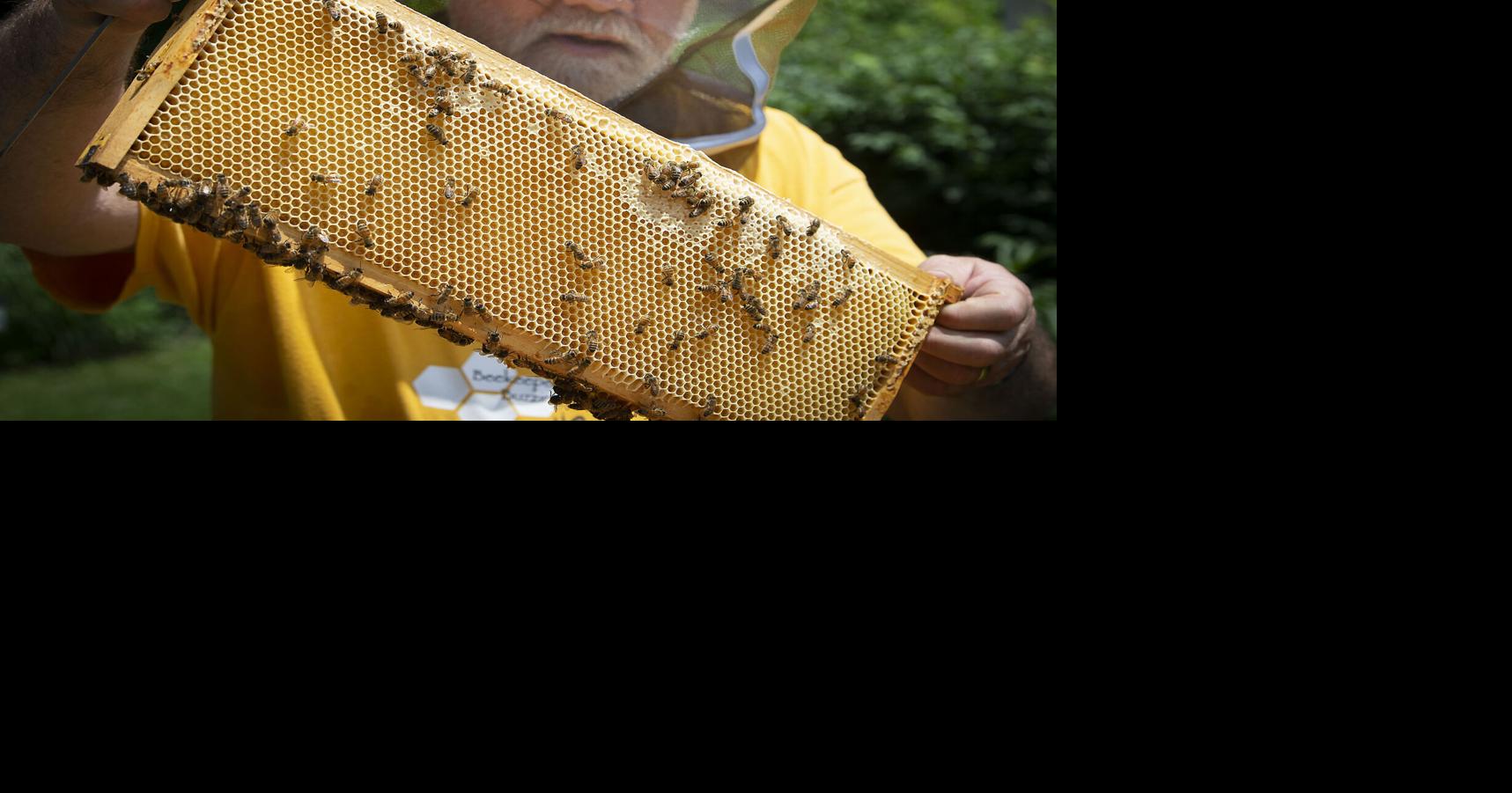 Frederick County beekeepers mentor each other | Environment ...
