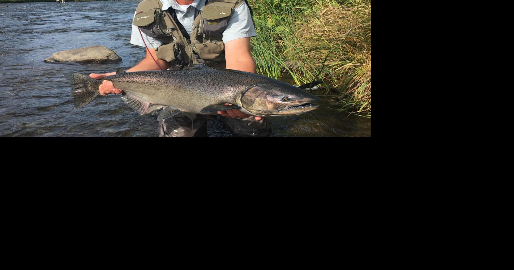 Today's Sporstman: Fishing the Douglaston Salmon Run | Travel And ...