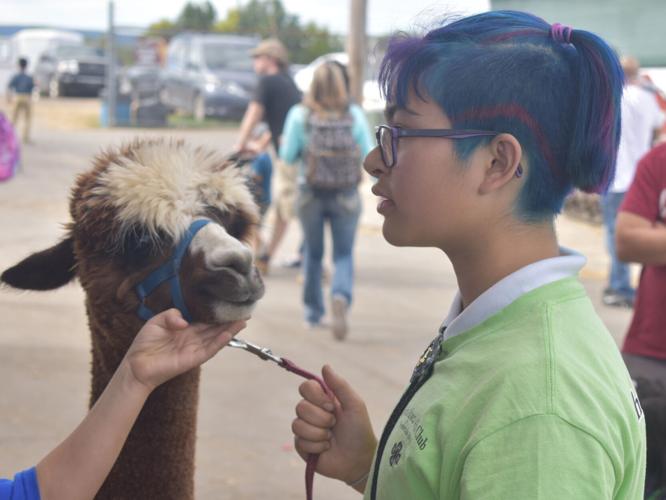 Photos: Fair moments | Special | fredericknewspost.com