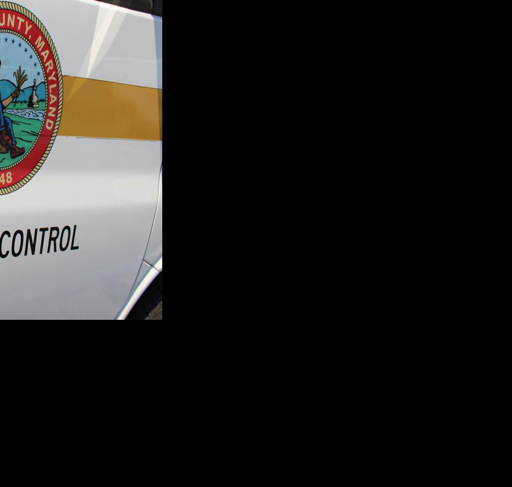 Frederick County Animal Control reopening for in-person interaction ...