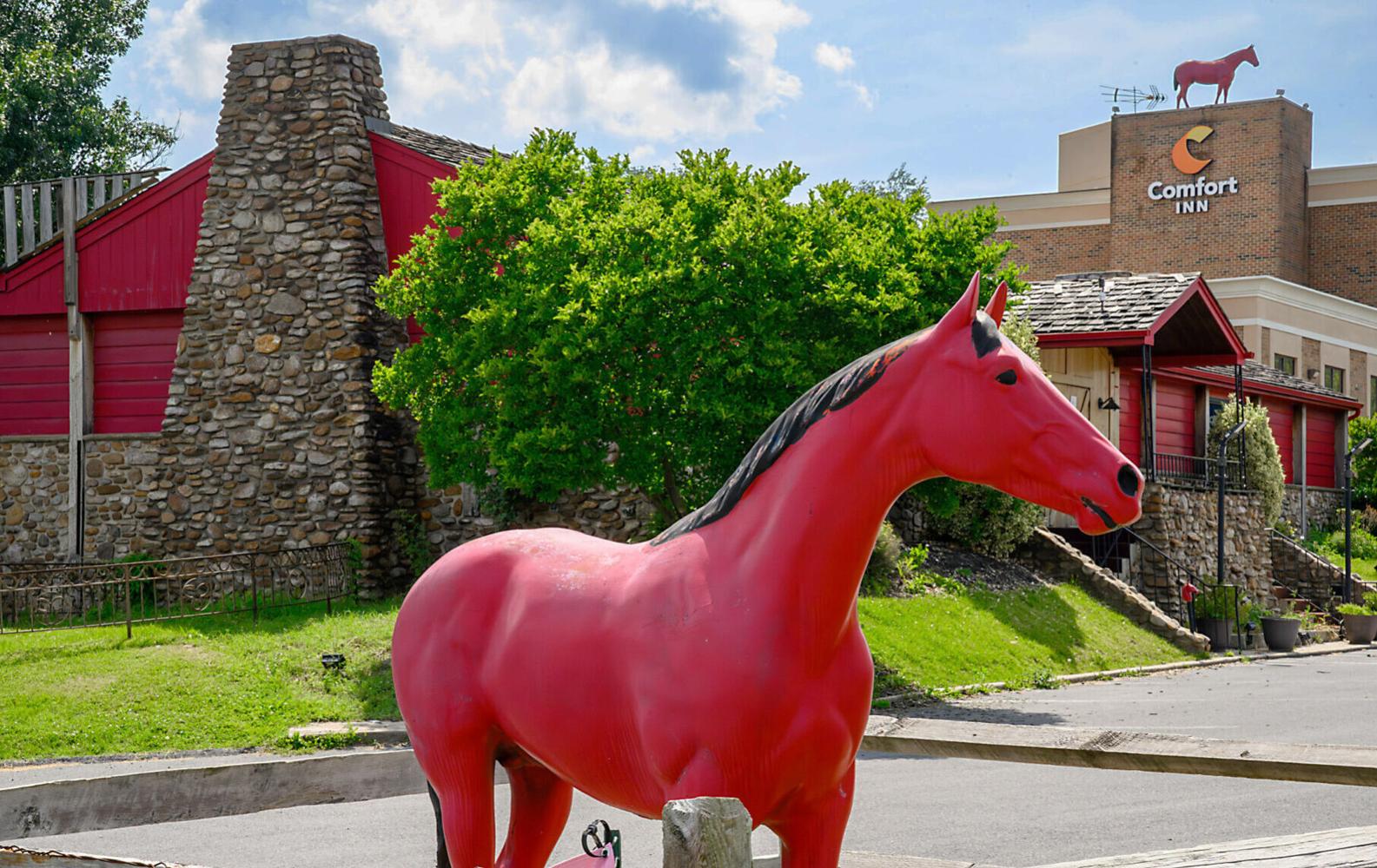 Red Horse restaurant plans on reopening this year after fire | Economy ...