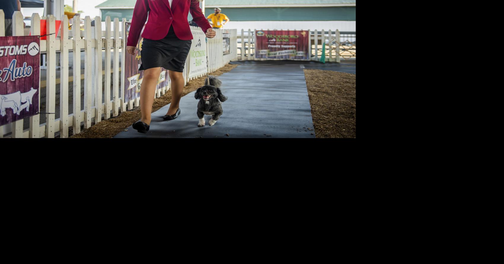 Youths and their pups show their skills at Frederick Fair dog show ...