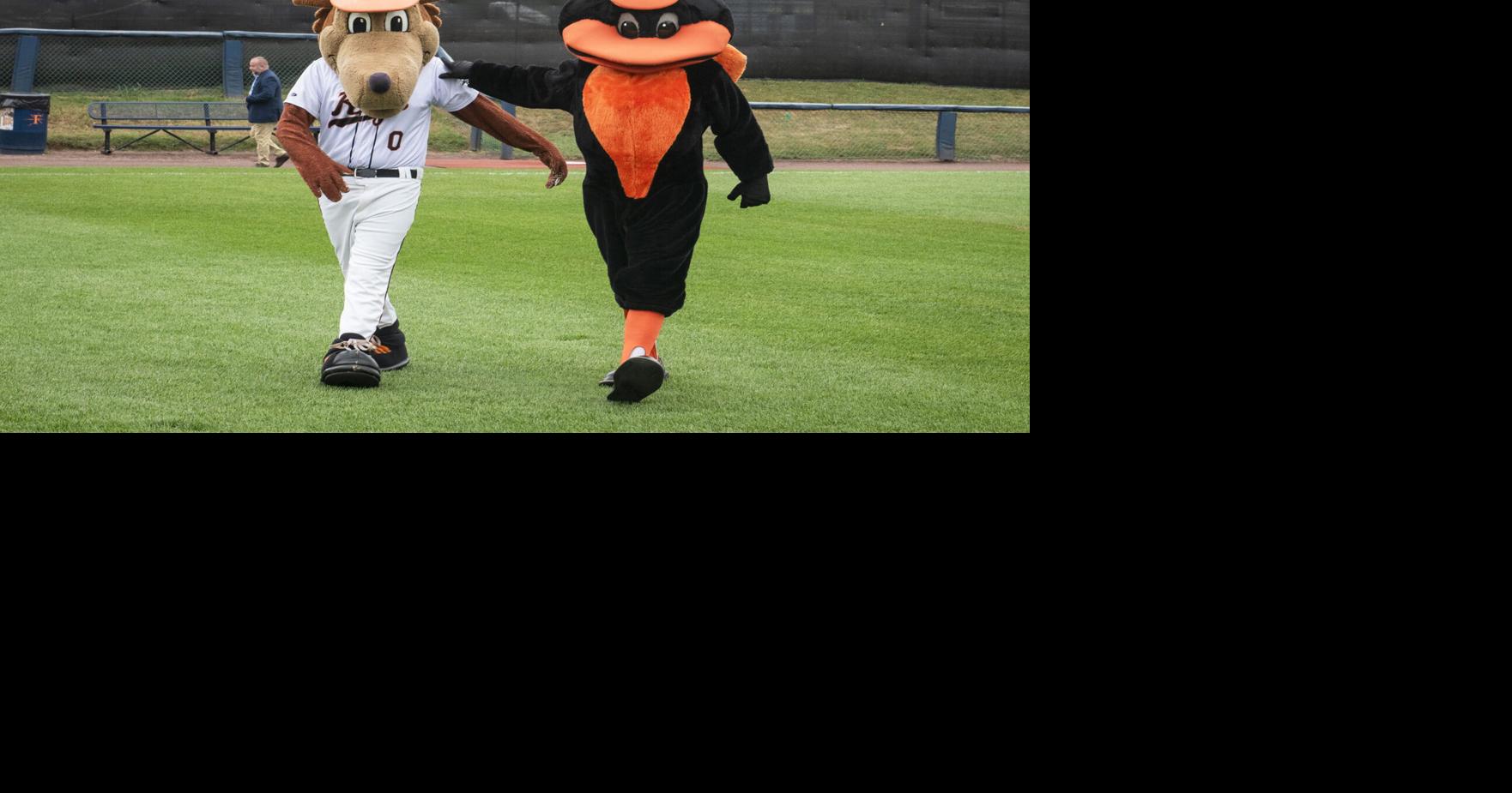 Frederick Keys announce a 2026 promotional schedule full of fan ...