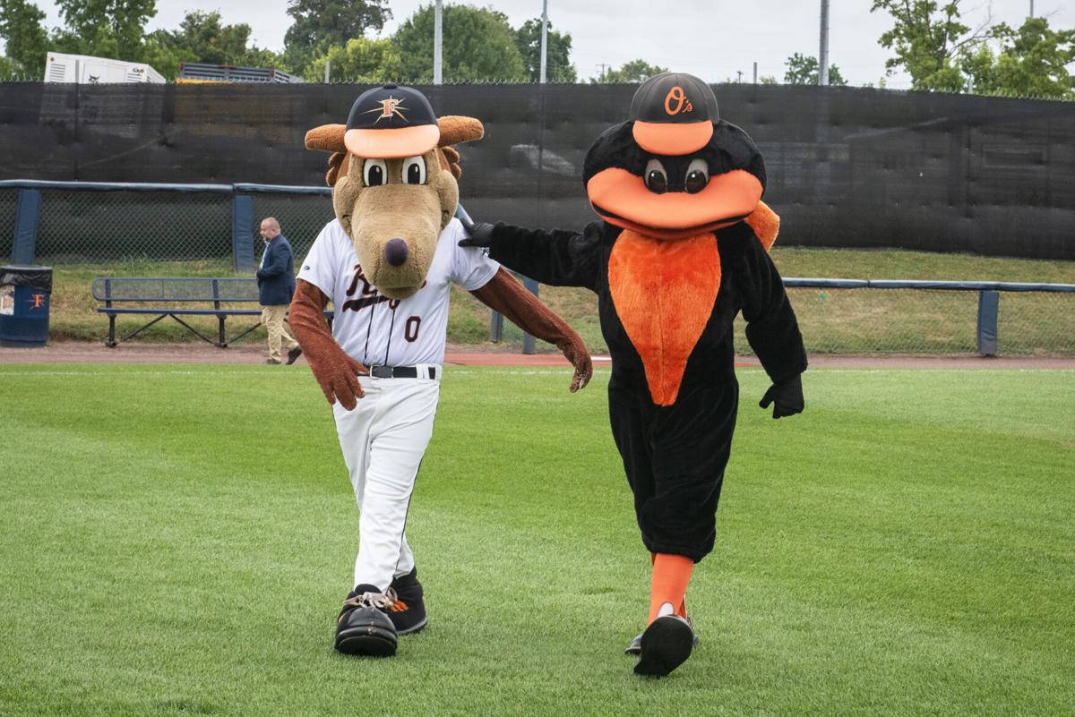 Frederick Keys announce a 2026 promotional schedule full of fan ...