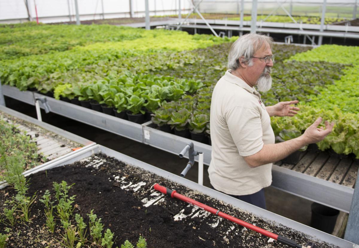 Gude Brothers' Greenhouses to host Lettuce Jam | Middletown & Braddock ...