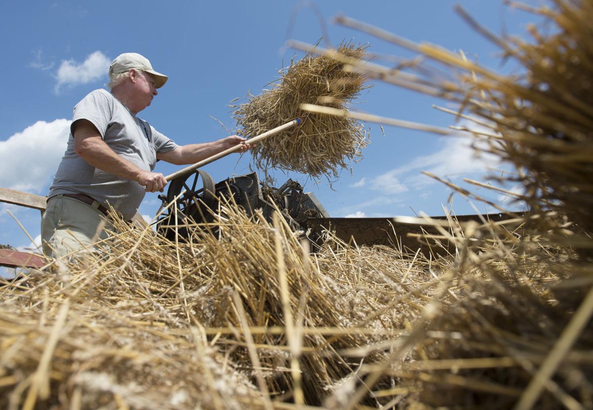 International Harvester Collectors Club holds wheat threshing and ...