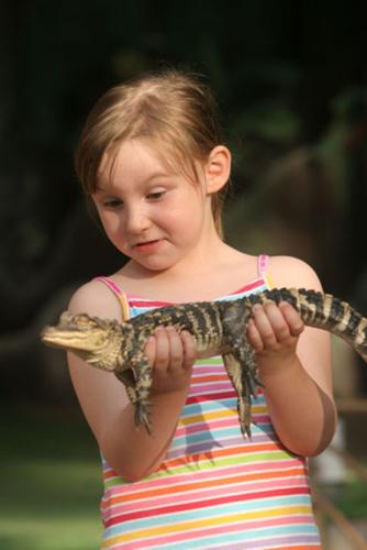 Catoctin Zoo comes to Thurmont Library | Arts & entertainment ...