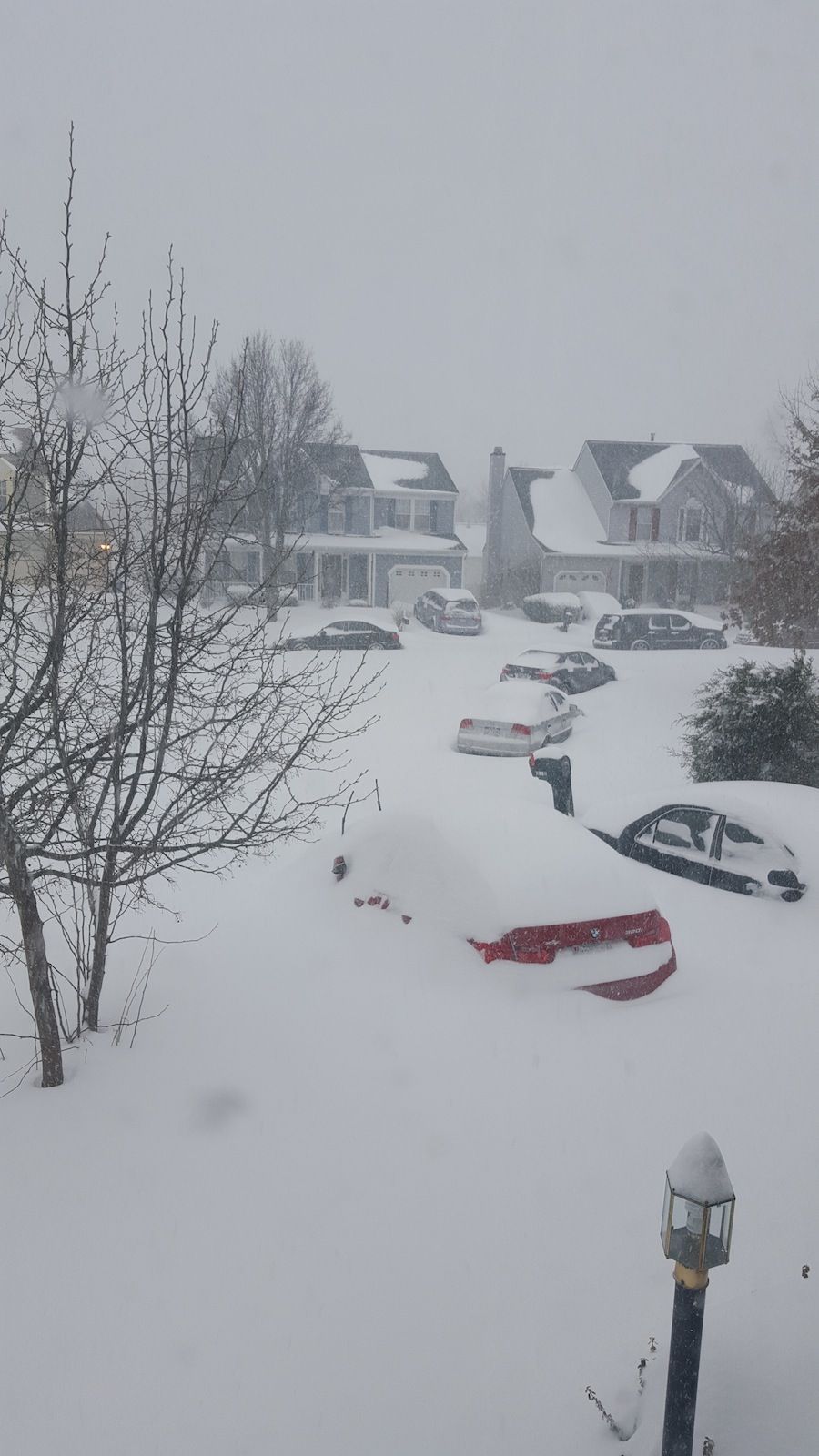 Snowed in: Reader-submitted weather photos | Storm | fredericknewspost.com