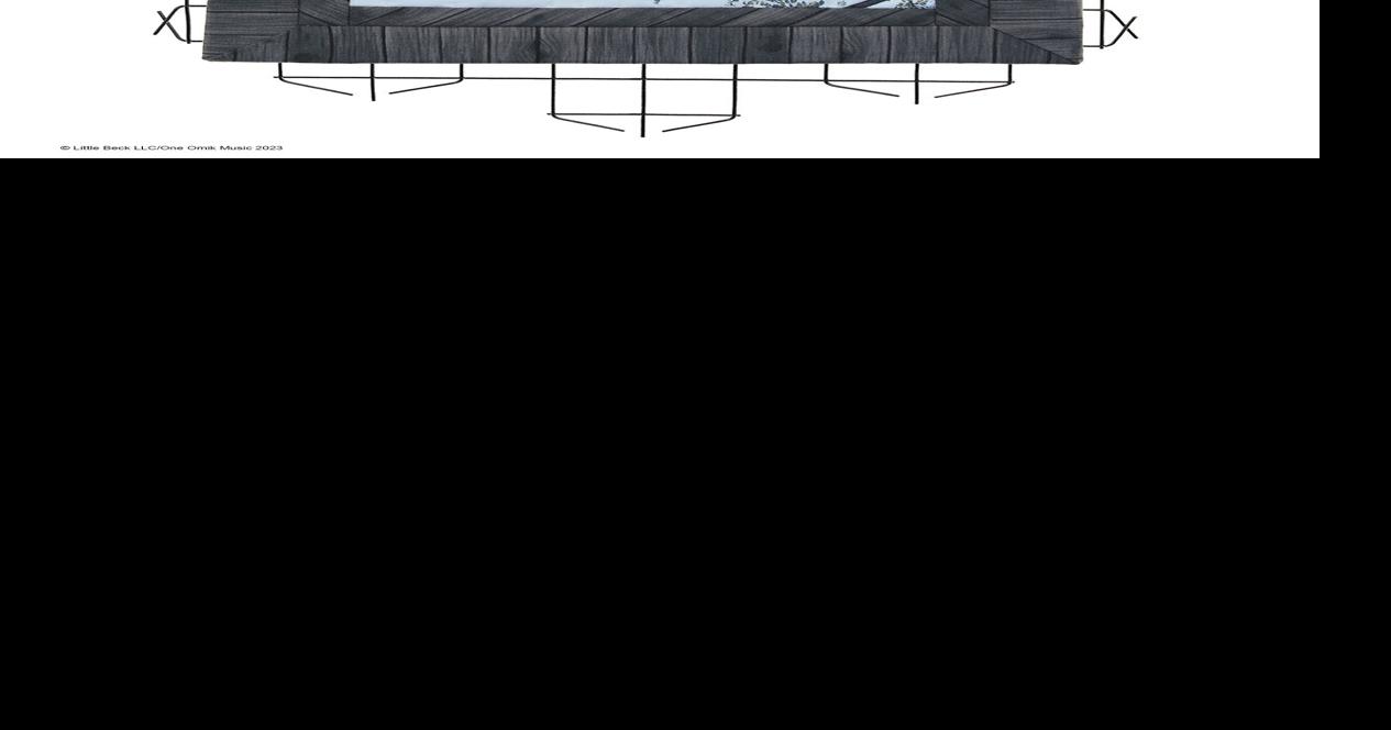 ‘The Craftivist’: Carol Williams makes art to make a statement | Visual ...