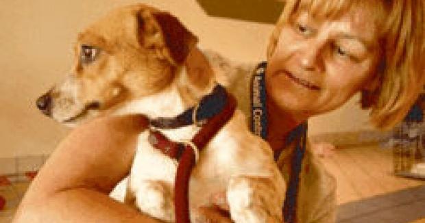 Detrick mascot AWOL: Animal without loving | Archives ...