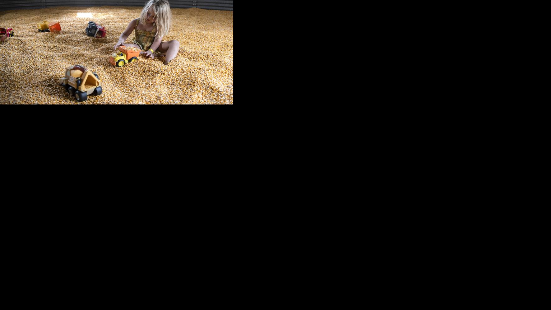 Fall Festival At Gaver Farm Opens For The Season With Mazes Hayrides