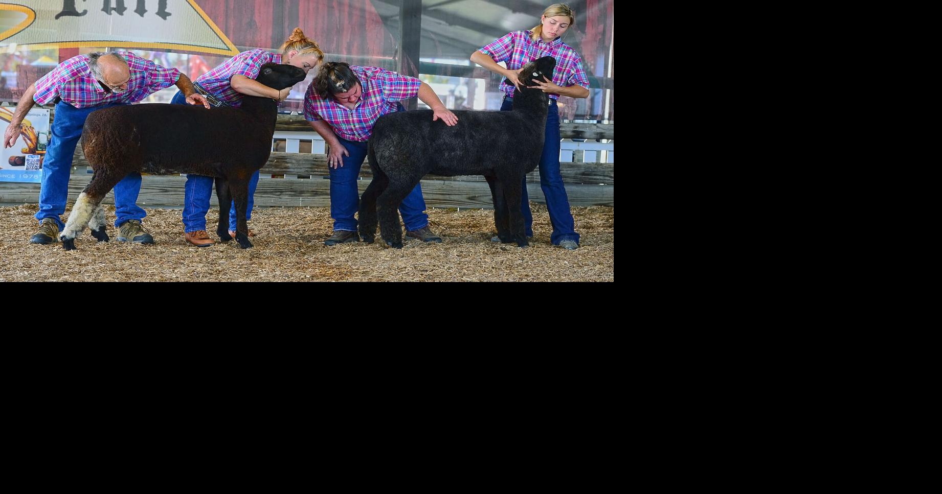 At the fair | Special | fredericknewspost.com