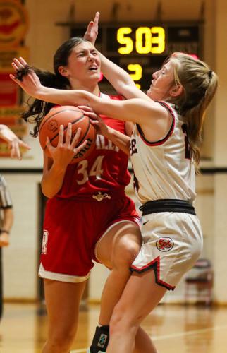 Burkle, Gorbett leading young Hornets to new heights | Sports | ftimes.com