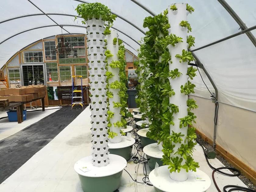 High-tech aeroponic farming company bringing greenhouse to Electric ...