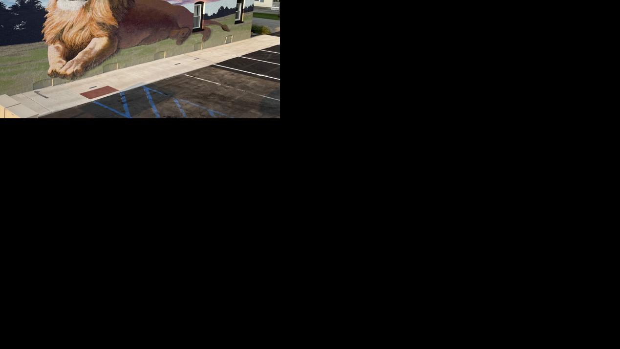 lion chaser development group