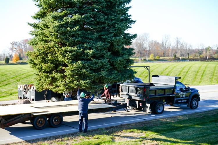 Nov. 15 - Northeastern REMC donates tree for Christmas on Broadway ...