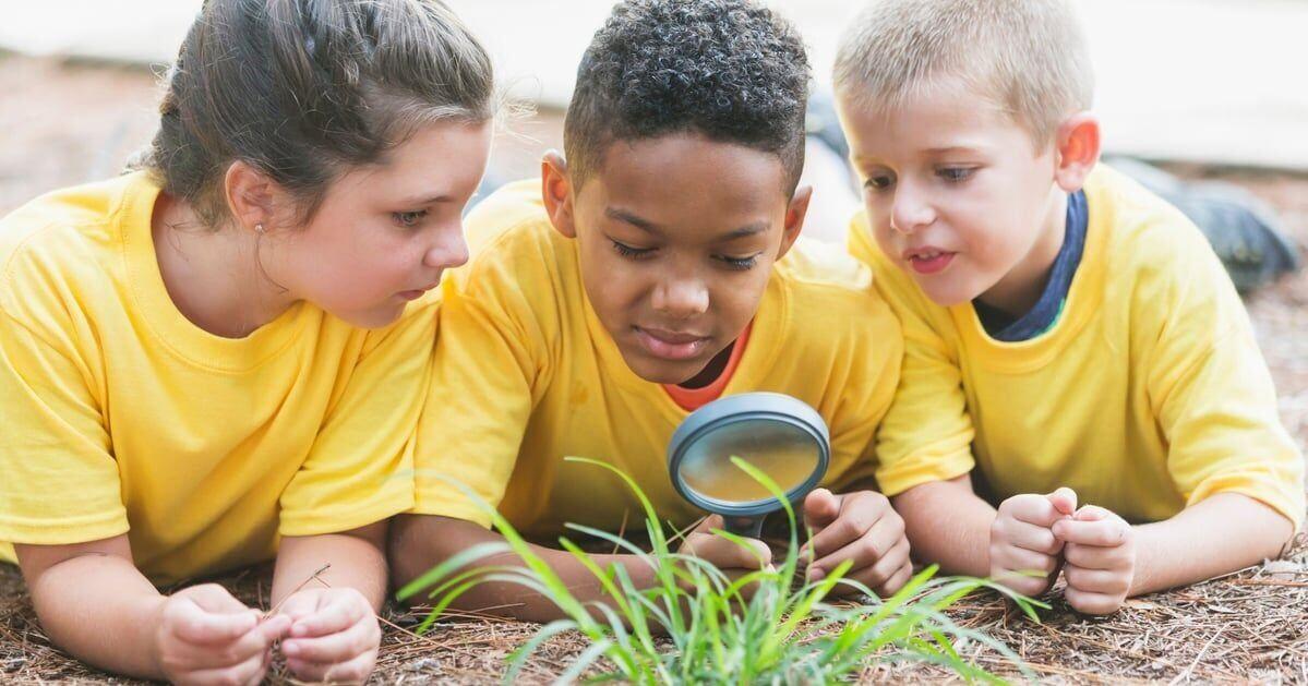 My Quest for an Affordable Summer Camp Without Sacrificing My Savings ...