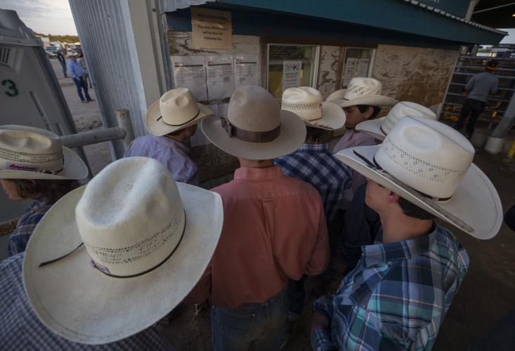 Photos: Galveston County Fair and Rodeo Opens | In Focus | The Daily News