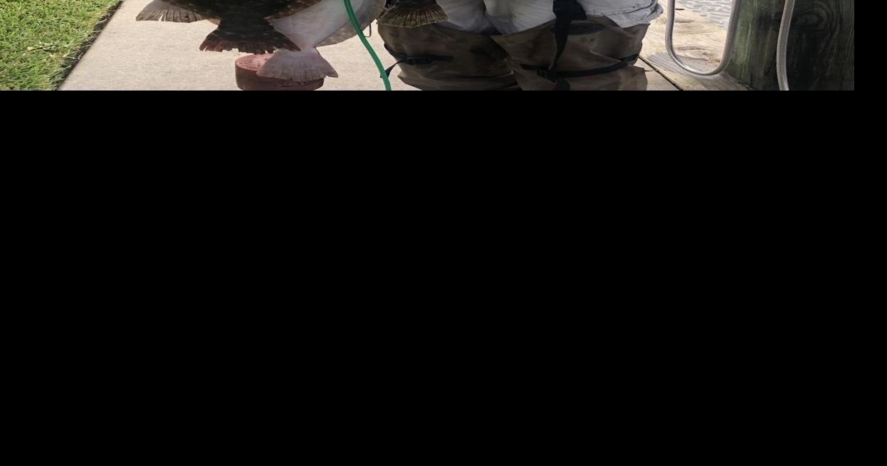 More bait camps reopen with shrimp, live bait available after Tropical ...