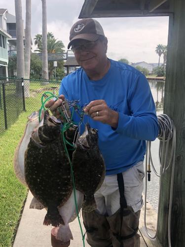 More bait camps reopen with shrimp, live bait available after Tropical ...