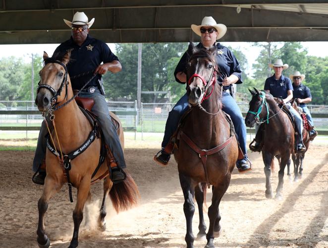 Galveston Sheriff's Office is mounting up | Local News | The Daily News
